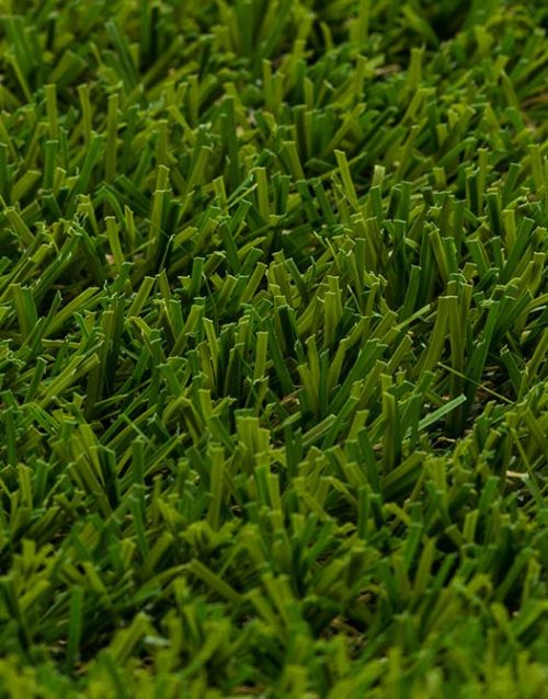 Great Lawn Artificial Grass | SGC - Synthetic Grass & Composite