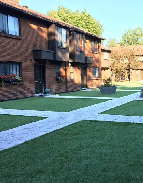 Great Lawn Artificial Grass | SGC - Synthetic Grass & Composite