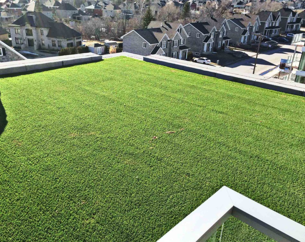 Balcony grass carpet for your Condo, Rooftop, Penthouse | SGC